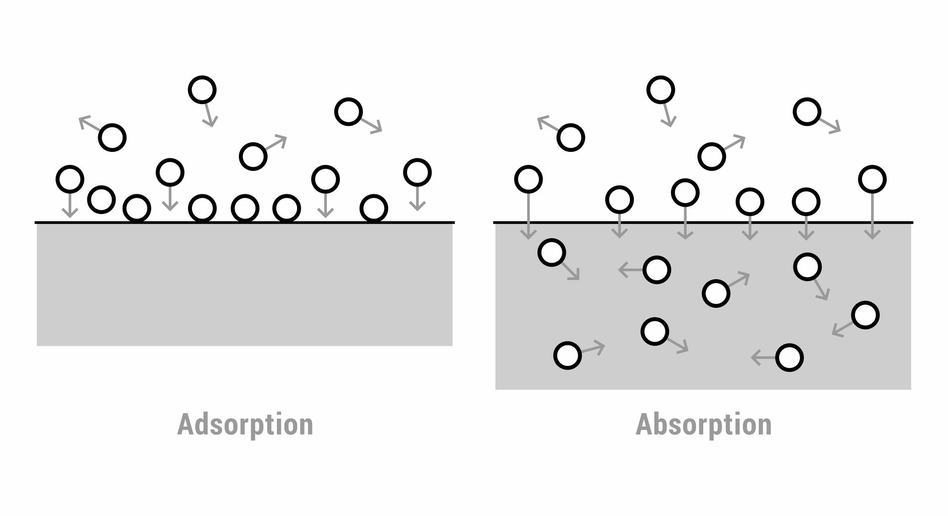 Absorption or Adsorption? | DurProCorp