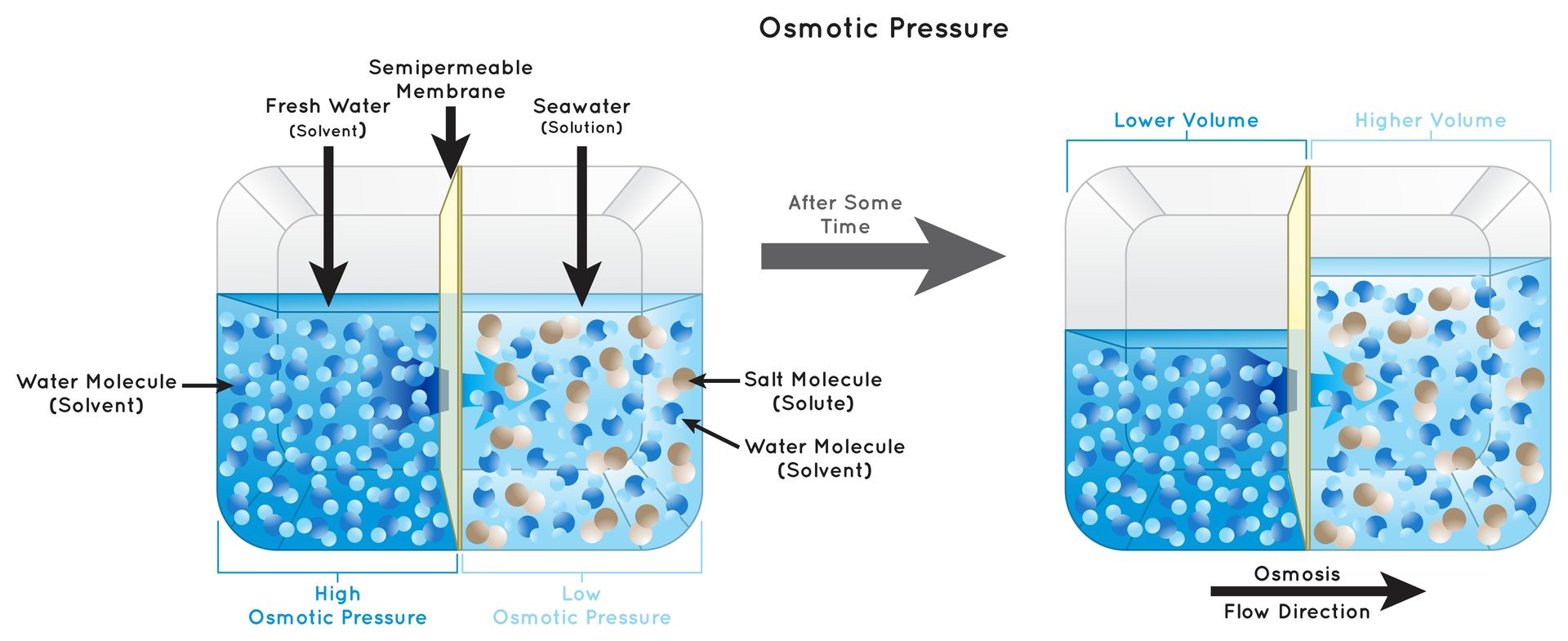 What is Osmotic Pressure? | Durpro